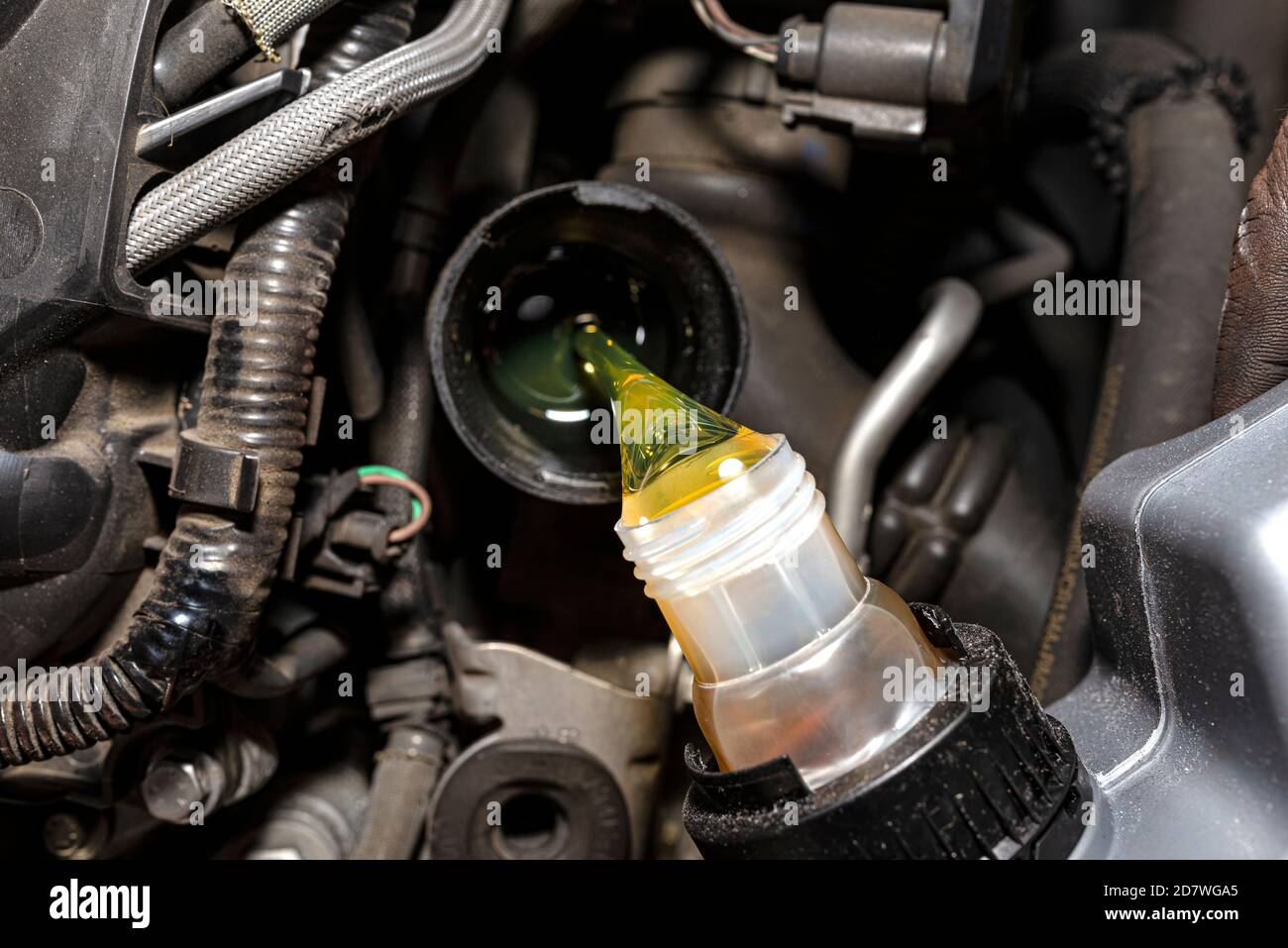 Car mechanic pours new car oil into the engine from a plastic tank in a ...
