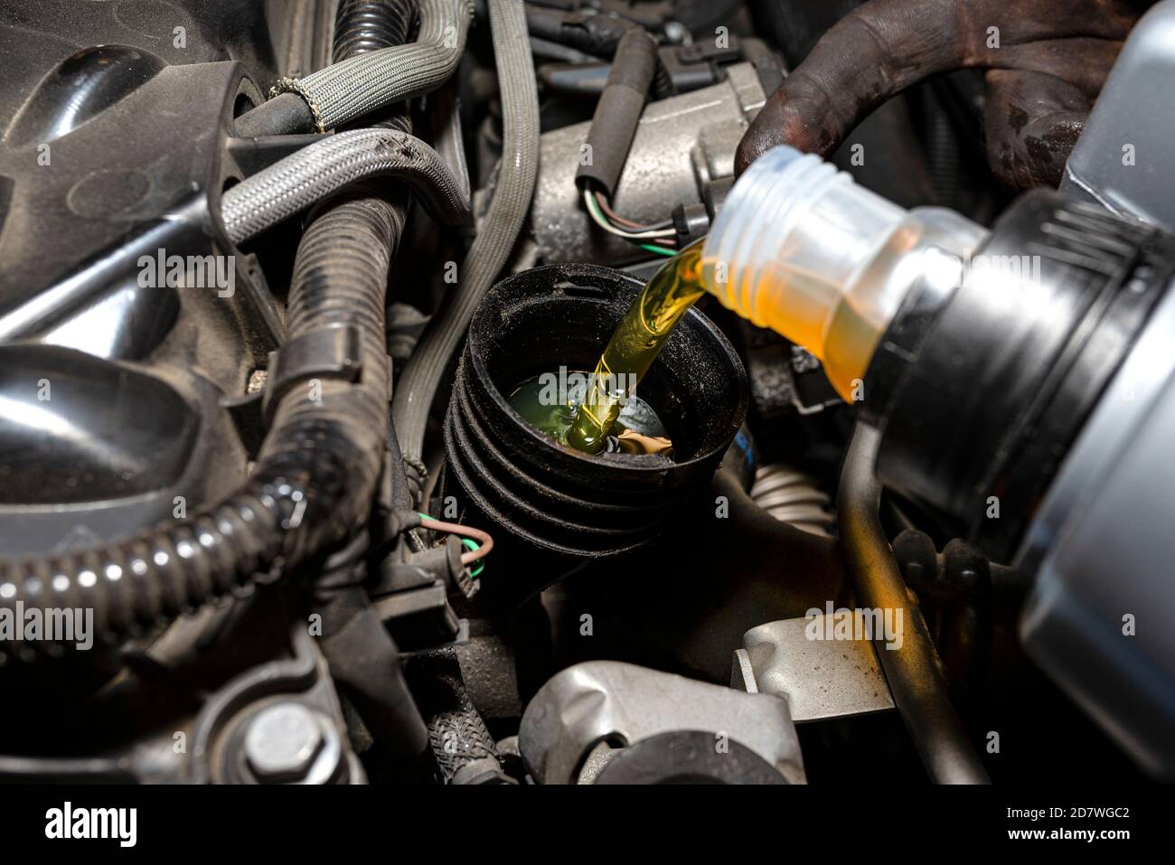 Car mechanic pours new car oil into the engine from a plastic tank in a ...