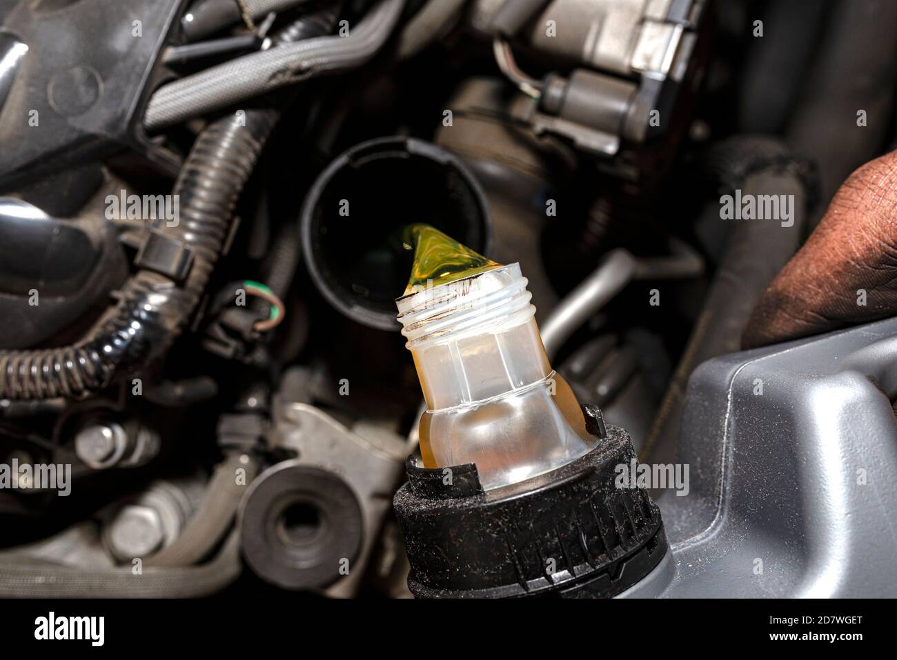 Car mechanic pours new car oil into the engine from a plastic tank in a ...