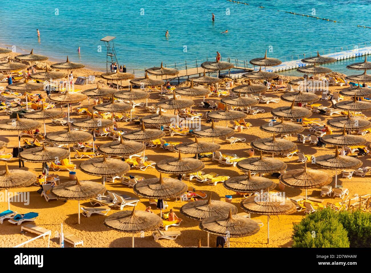 Red sea beach from aerial top view. Tourists relaxing under umbrellas ...