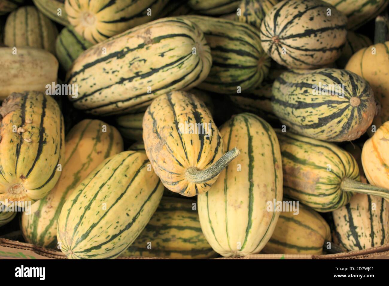 Squash vegetable hi-res stock photography and images - Alamy