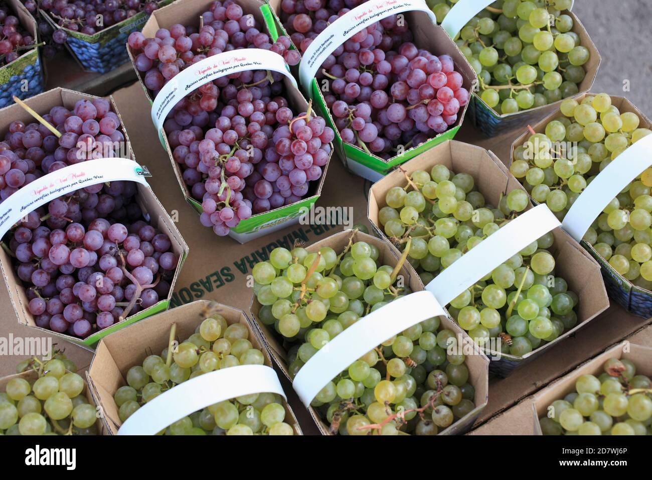 Grapes and fruit hi-res stock photography and images - Alamy