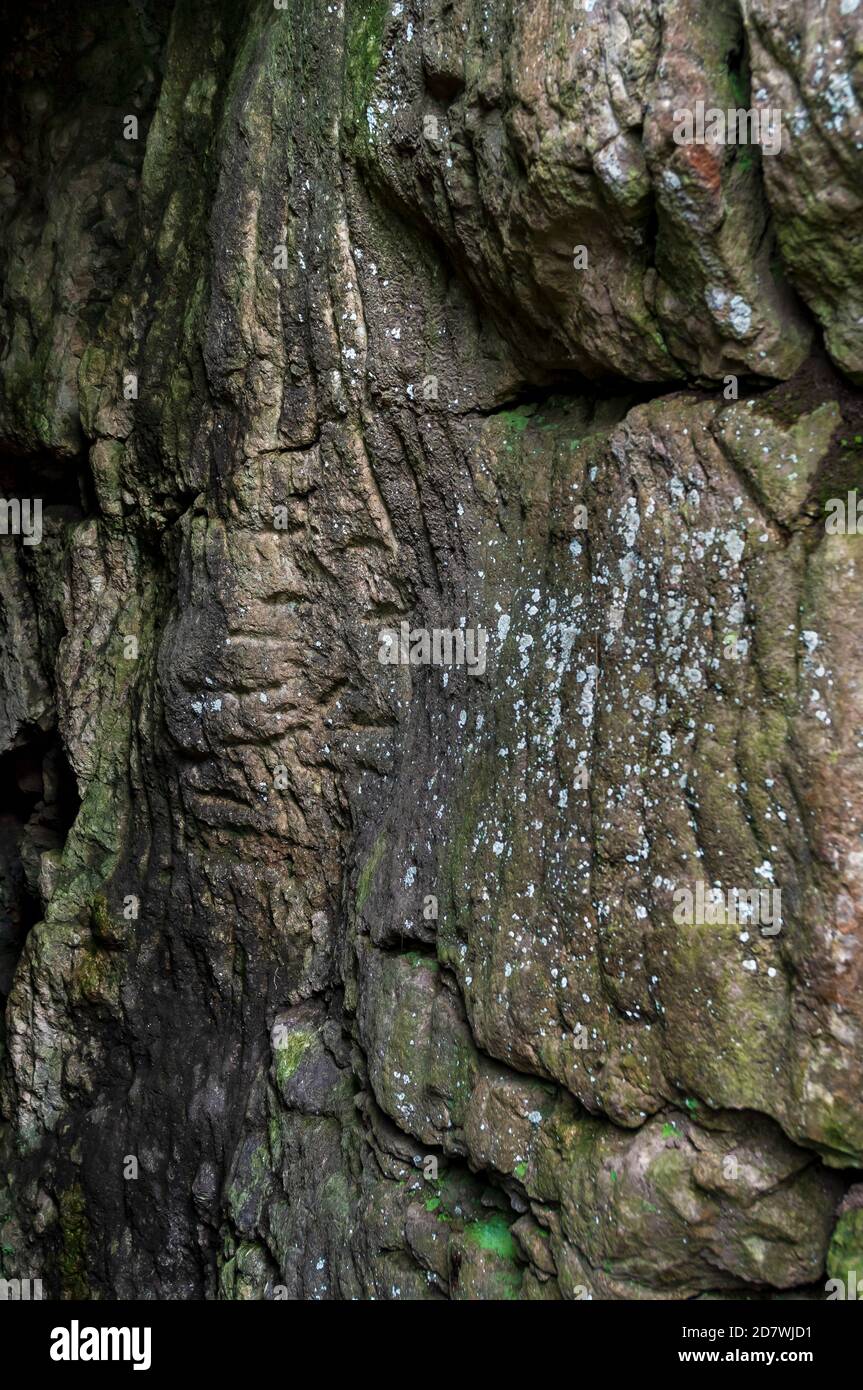 Miners working vein hi-res stock photography and images - Alamy