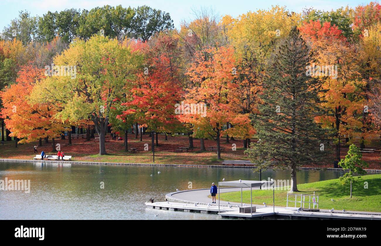 Beaver Lake Mount Royal Park High Resolution Stock Photography and ...