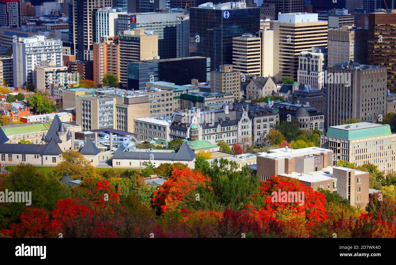 Canada, Quebec, Montreal, skyline, McGill University Campus Stock Photo ...