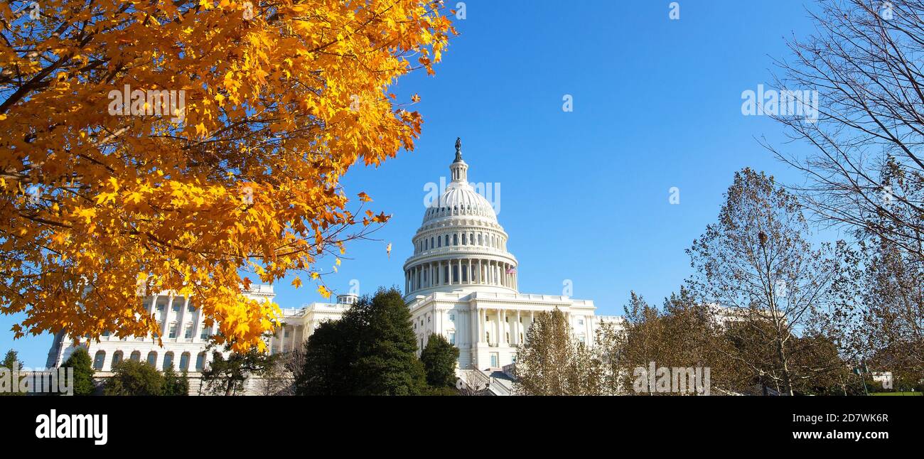 Capitol Building grounds on sunny day. Autumn colors of maple tree ...