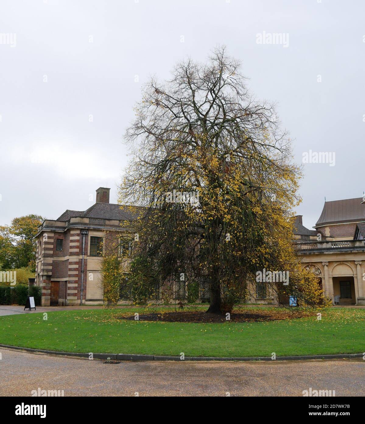 Eltham Palace, Eltham, London, England Stock Photo - Alamy
