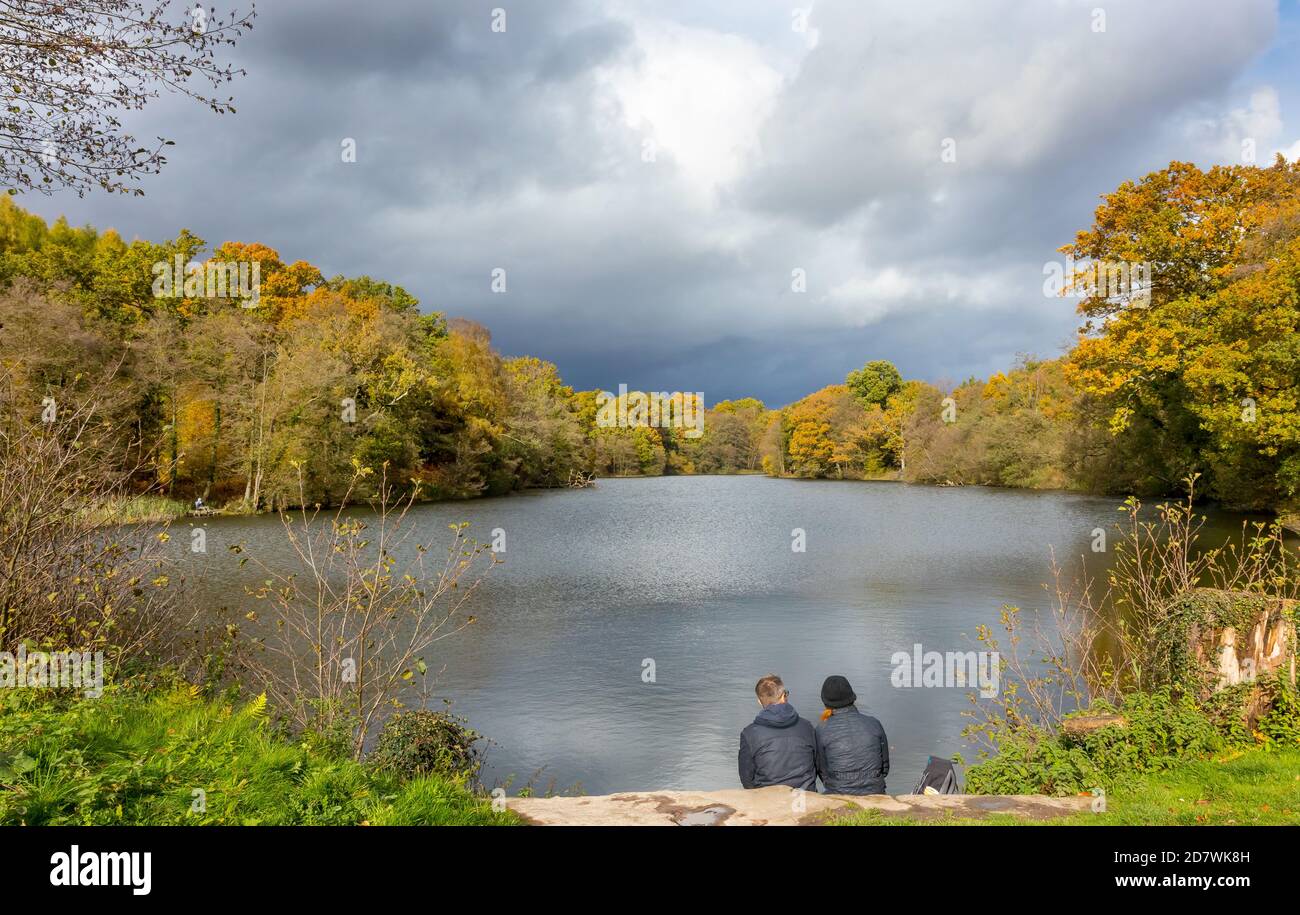Serenity of the lake in the Forest of Dean Stock Photo - Alamy