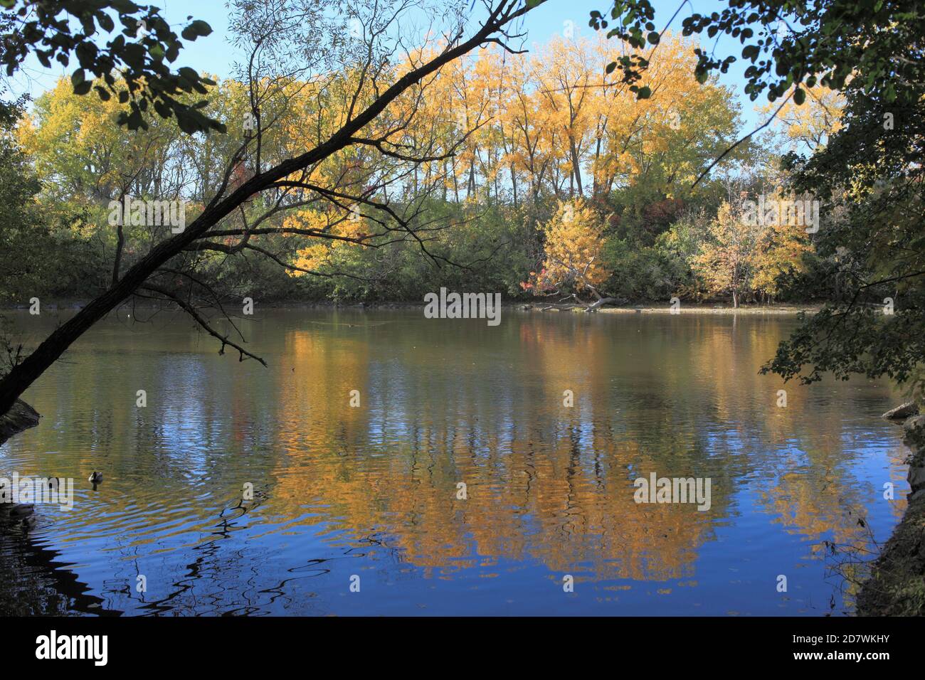 Montréal autumn river hi-res stock photography and images - Alamy