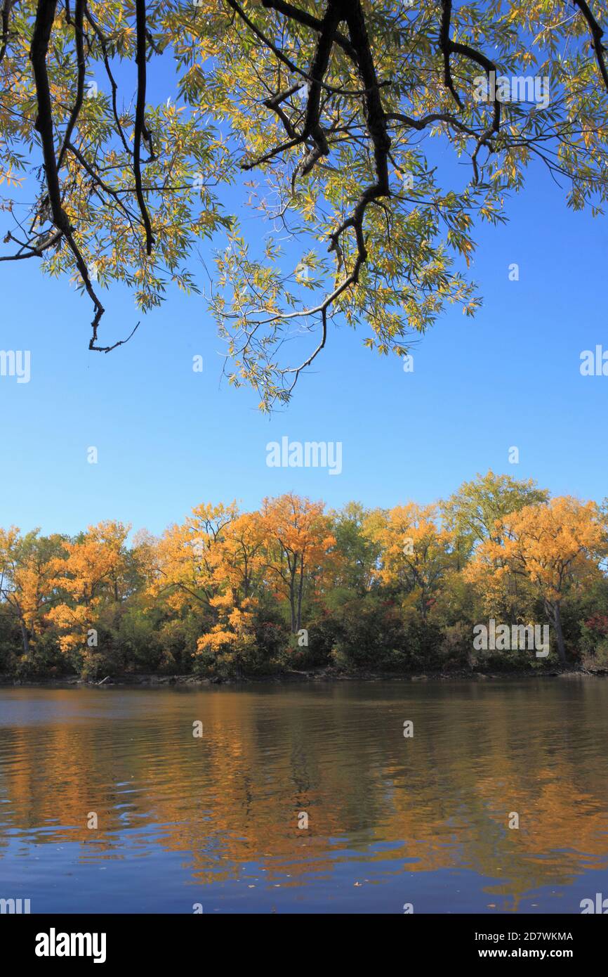 Montréal autumn river hi-res stock photography and images - Alamy