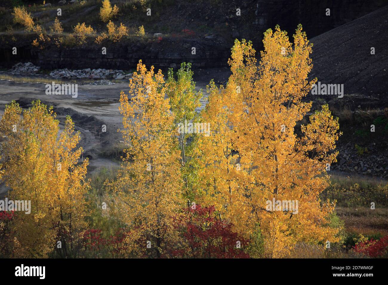 Quebec colors hi-res stock photography and images - Alamy