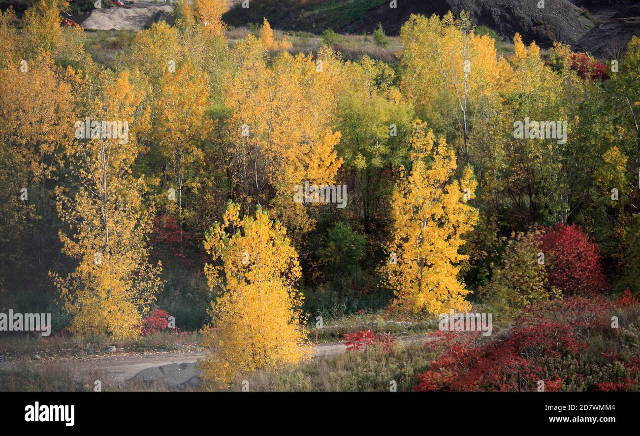 Frederic Back Parc High Resolution Stock Photography and Images - Alamy