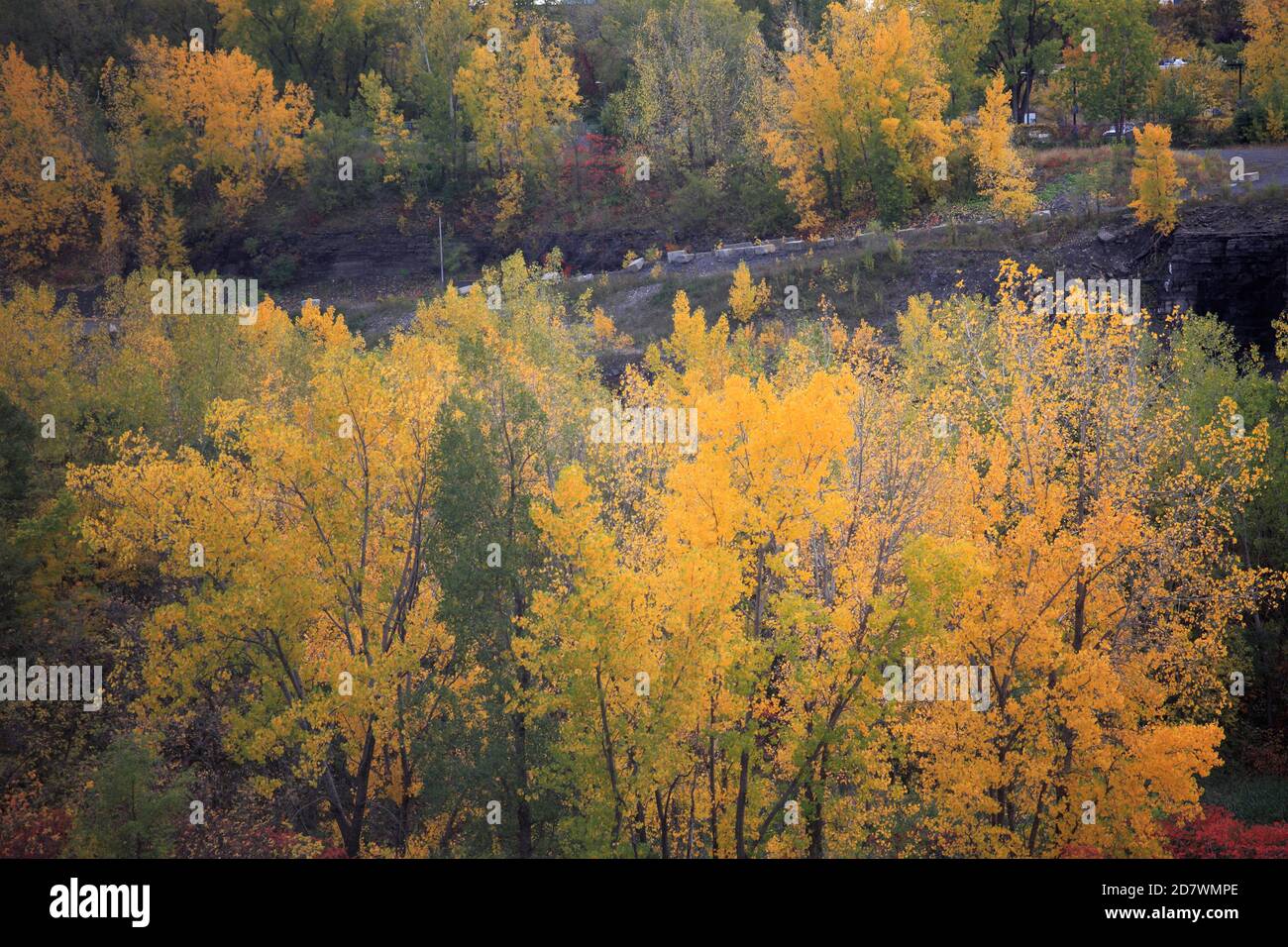 Quebec autumn colors hi-res stock photography and images - Alamy
