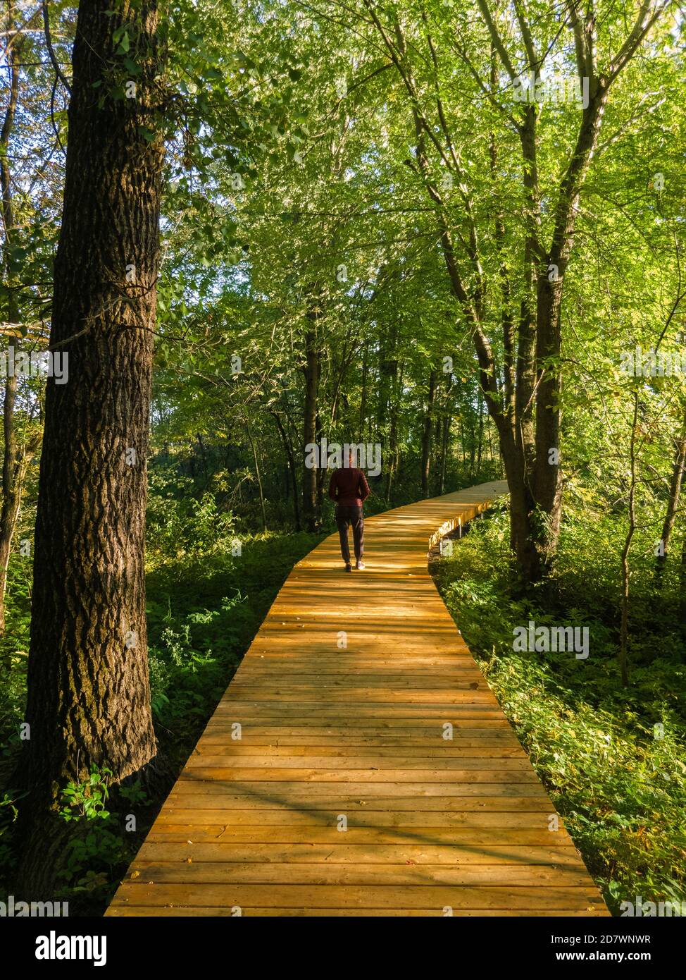 Walk way boardwalk path nature hi-res stock photography and images - Alamy