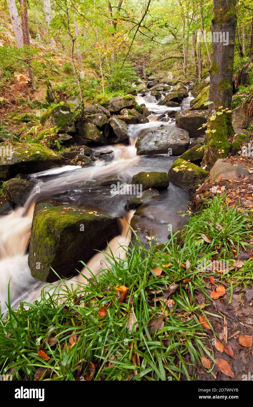 Autumn, Padley Gorge, an iconic location in the Peak District National ...