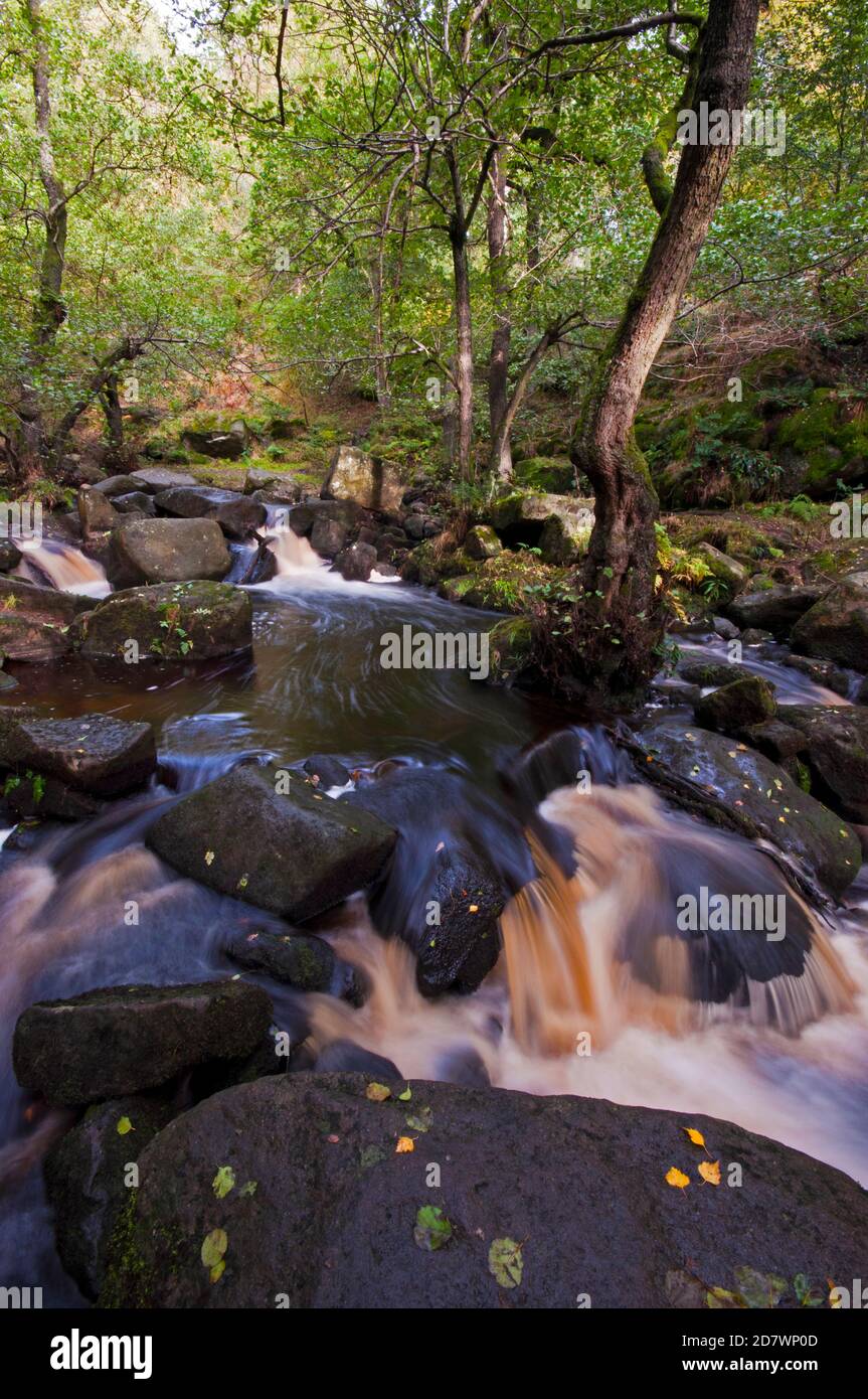 Autumn, Padley Gorge, an iconic location in the Peak District National ...