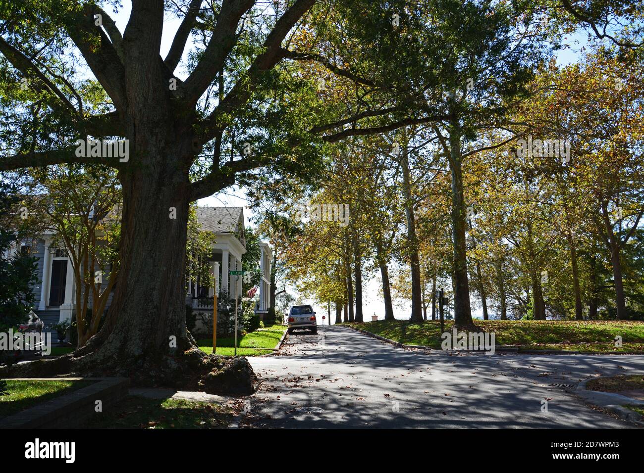 Autumn america houses quaint hi-res stock photography and images - Alamy