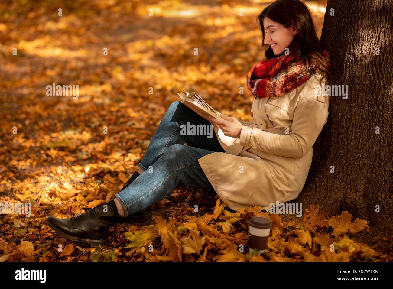 Woman reading under tree hi-res stock photography and images - Alamy