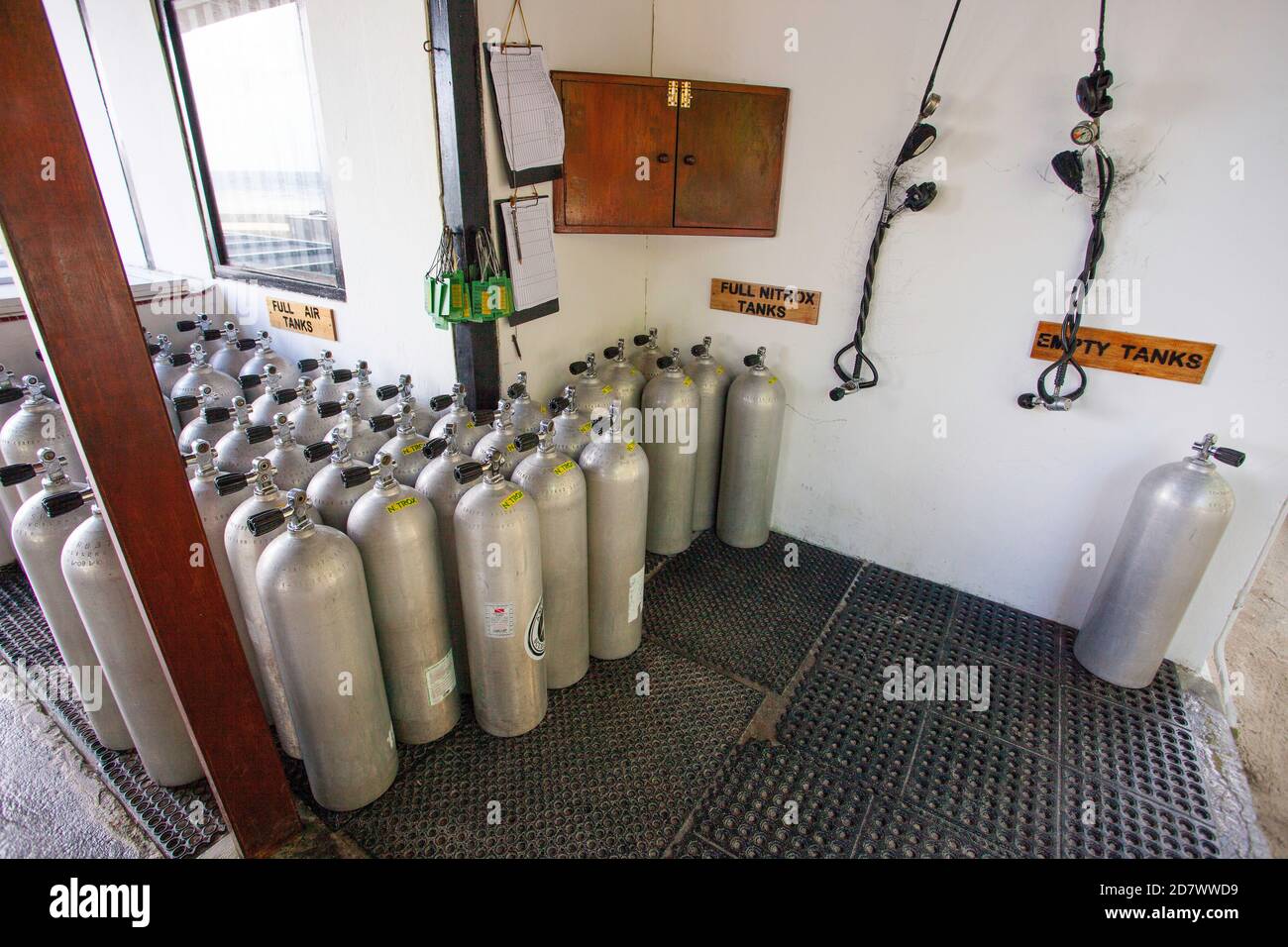 Nitrox scuba diving cylinders lined up at the filling station for the ...