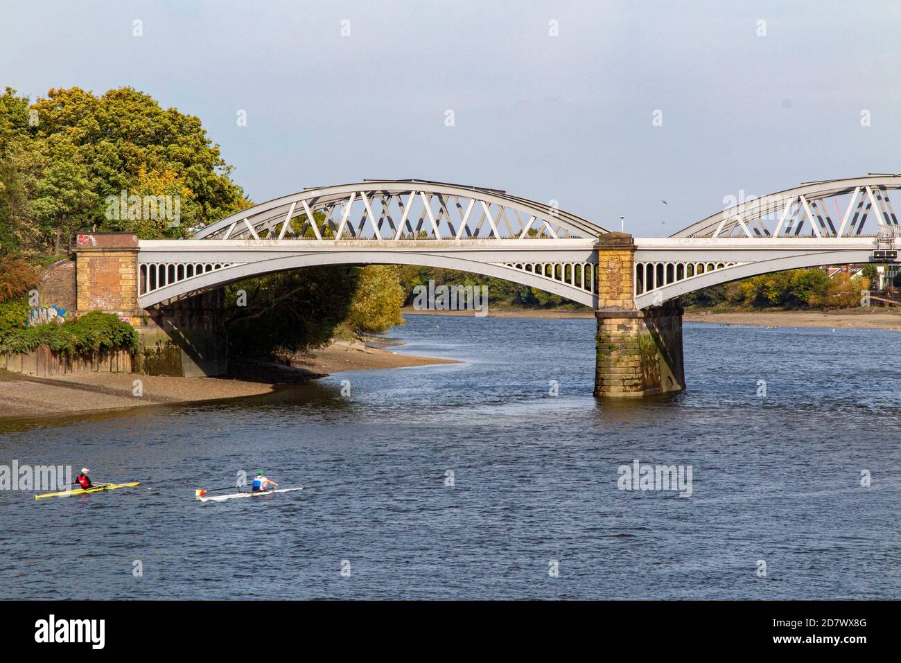 Rowers on the River Thames row under Barnes Bridge Stock Photo - Alamy