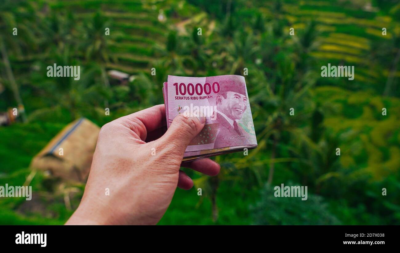 Tourist showing indonesian money in the hand rice terrace Stock Photo ...