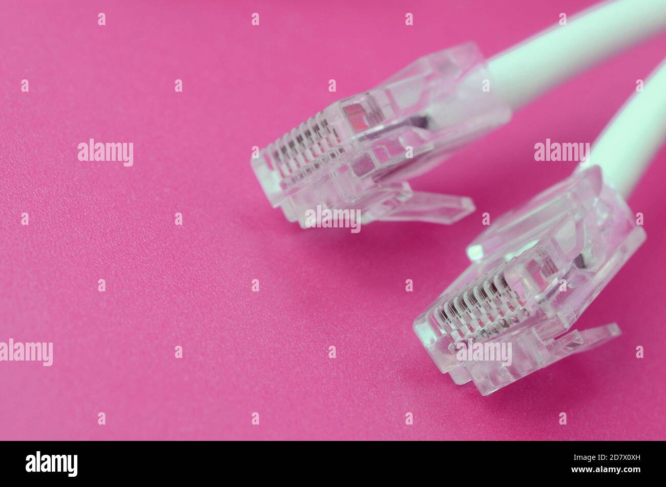 White cord with connector rj45 on a bright pink background. network ...