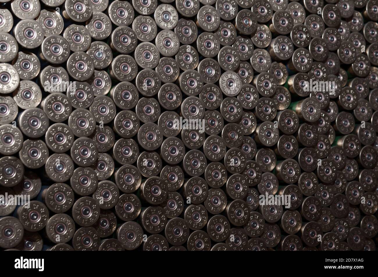 Pattern of 12 gauge cartridges for shotgun bullets. Shells for hunting ...
