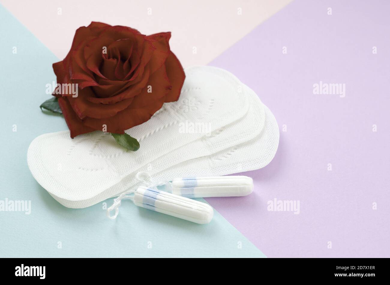 Menstrual pads and tampons and red rose flower on multicolored ...