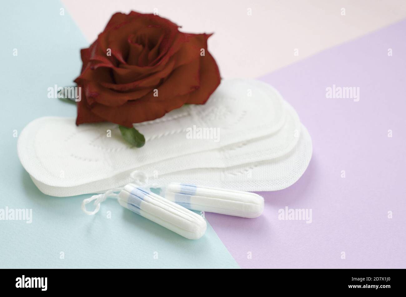 Menstrual pads and tampons and red rose flower on multicolored ...