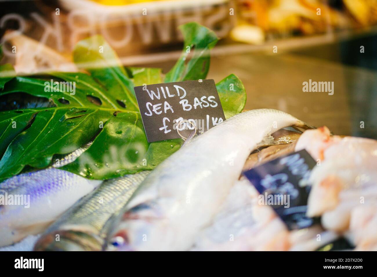 Fish store window hi-res stock photography and images - Alamy
