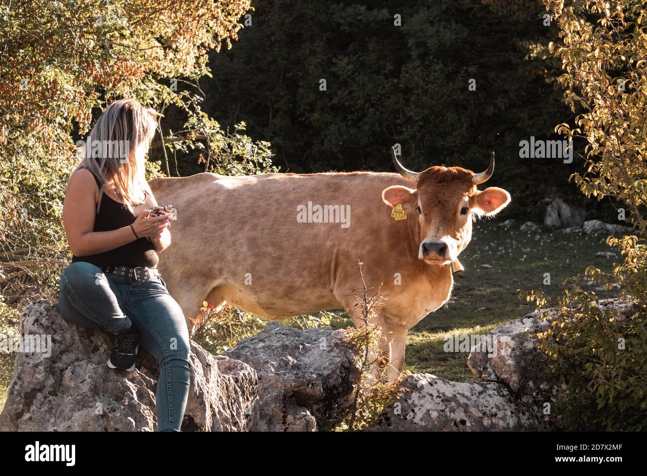 Blonde girl sitting on a rock hiking through the nature, looking at an ...