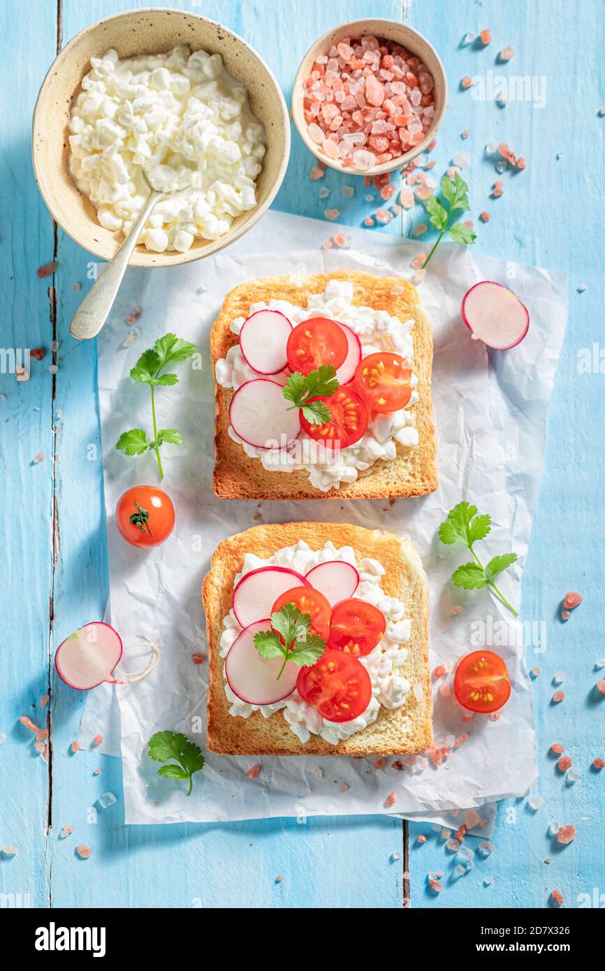 Crunchy Toast with cottage cheese, cherry tomato and radish on blue ...