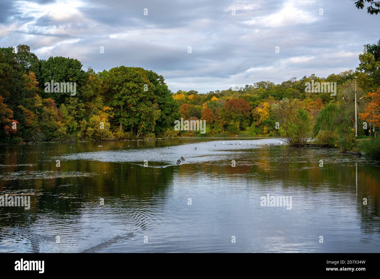 Hudson River in upstate New York in autumn colors. Vibrant colorful ...