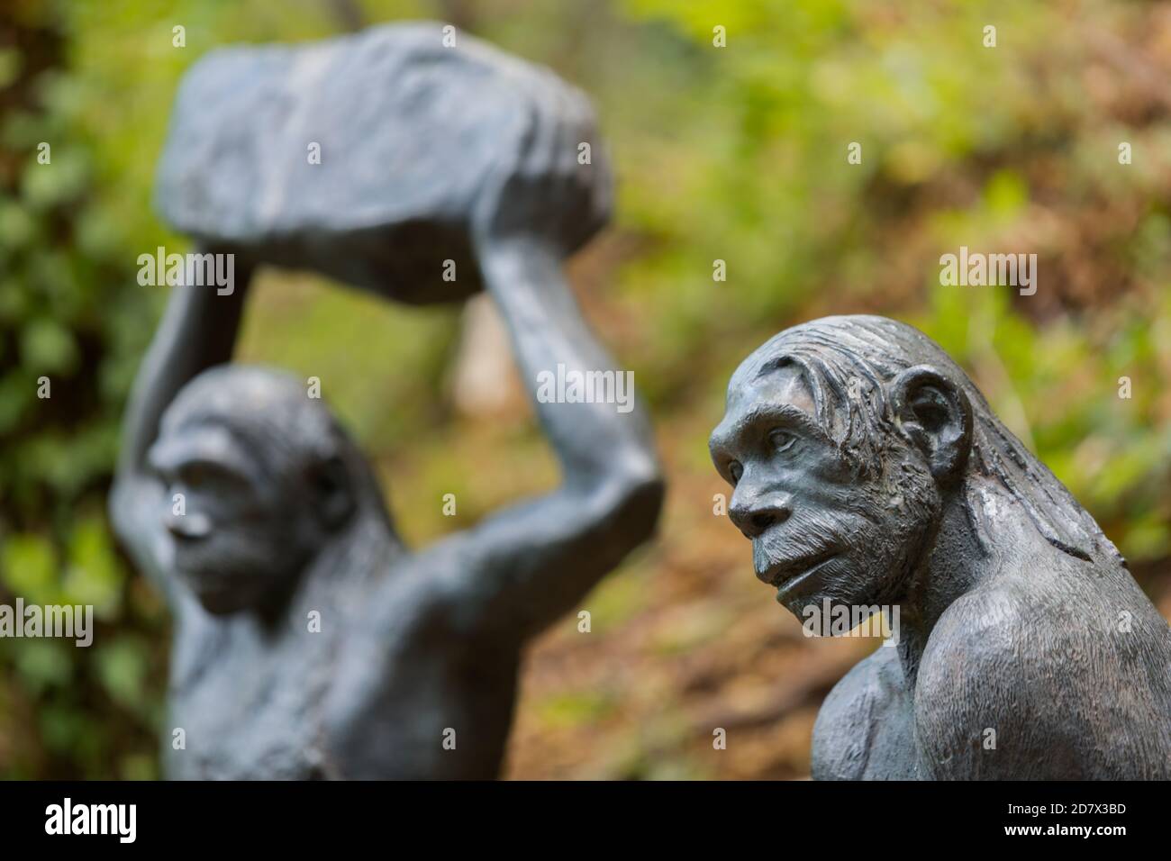 Replica of neandrethal from town Krapina, Croatia Stock Photo - Alamy