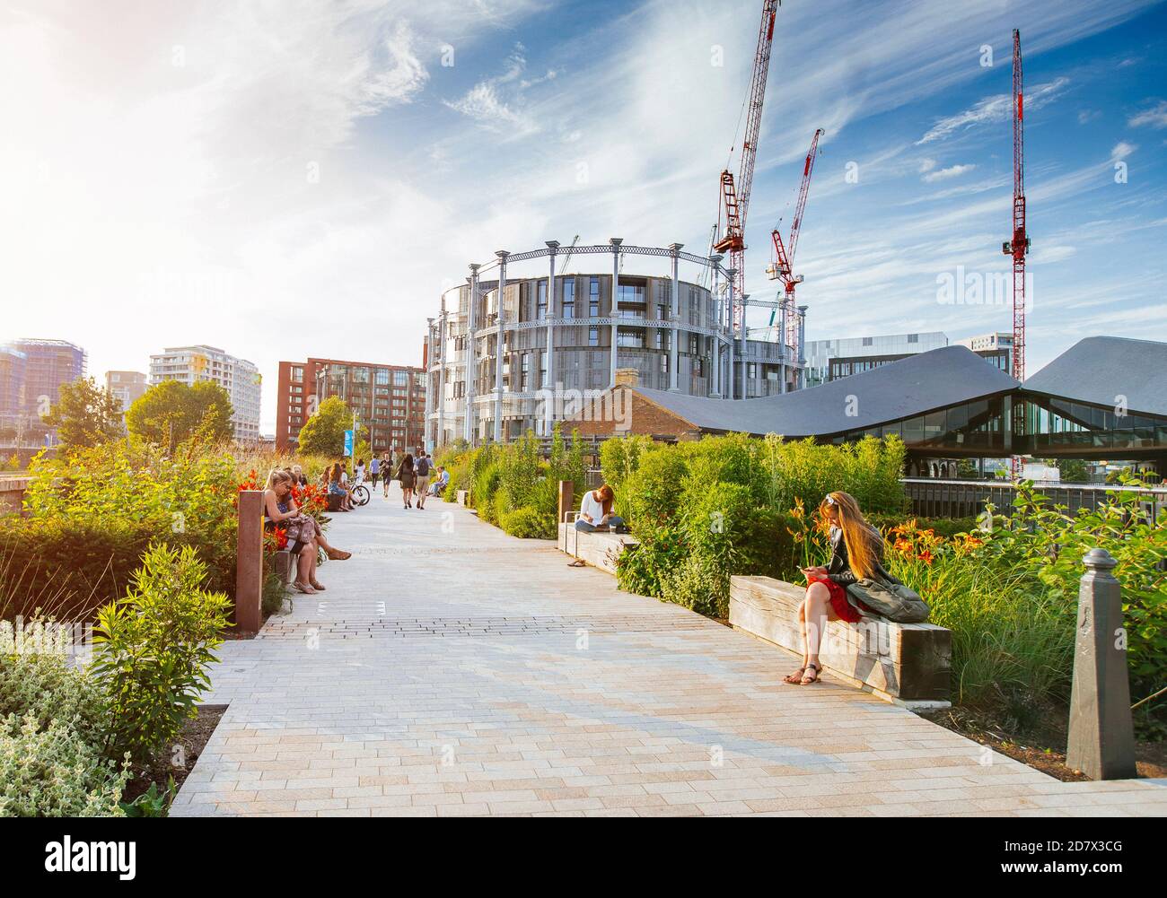 Urban Pedestrian Walkway Design
