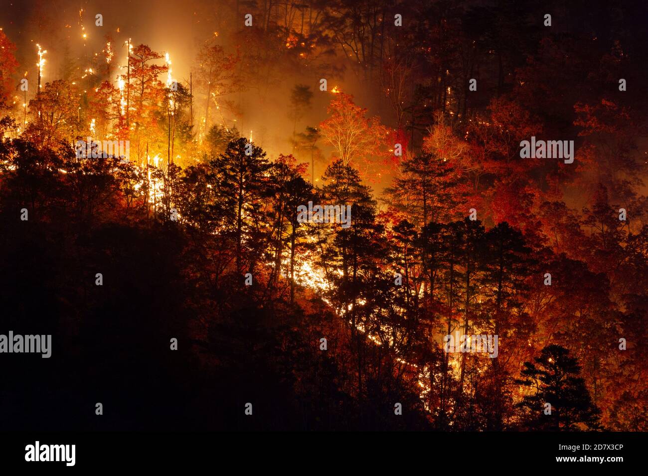 American Man Made Disasters