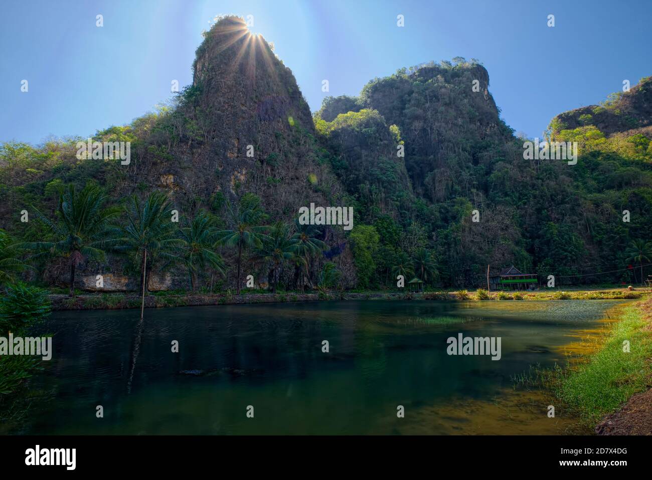 Ramang ramang hi-res stock photography and images - Alamy