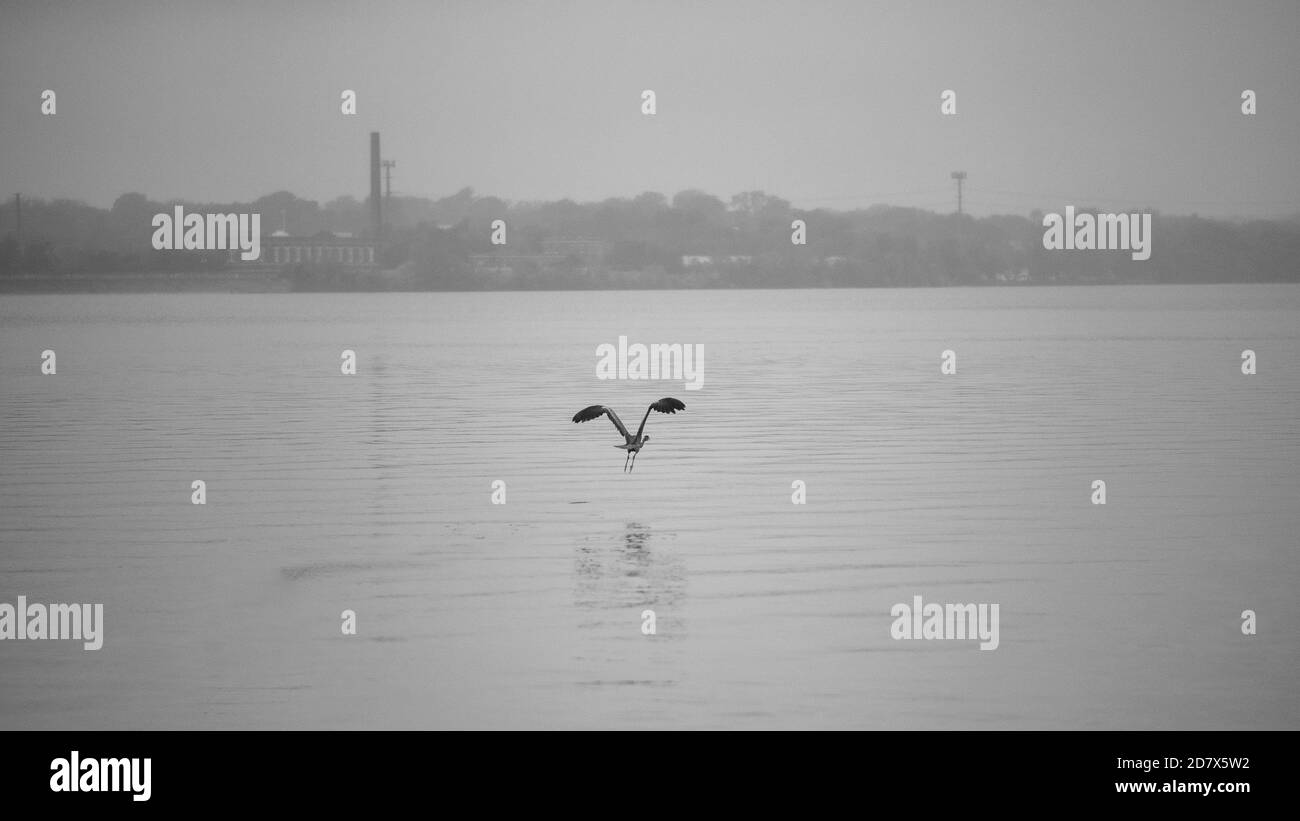 Building architecture fog Black and White Stock Photos & Images - Alamy