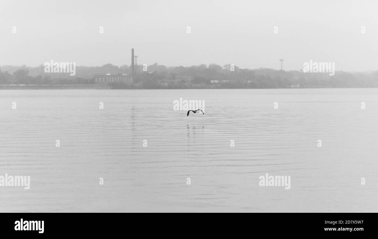 Dallas scenery Black and White Stock Photos & Images - Alamy