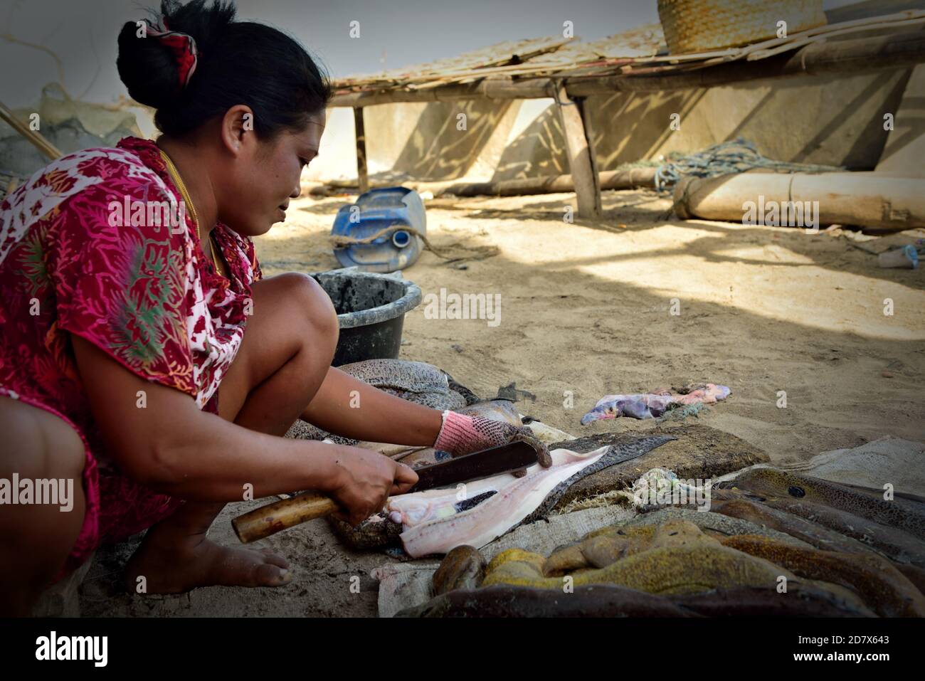 Processing dried split fish, commonly known as “daing” (split form) is ...