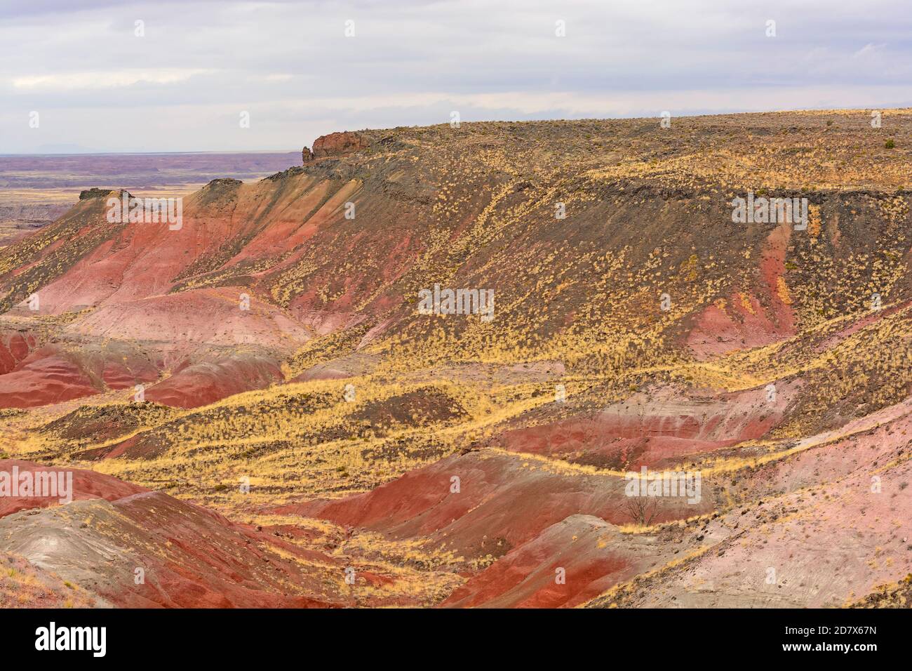 Fall Colors in the Red Desert in Petrified Forest National Park in ...