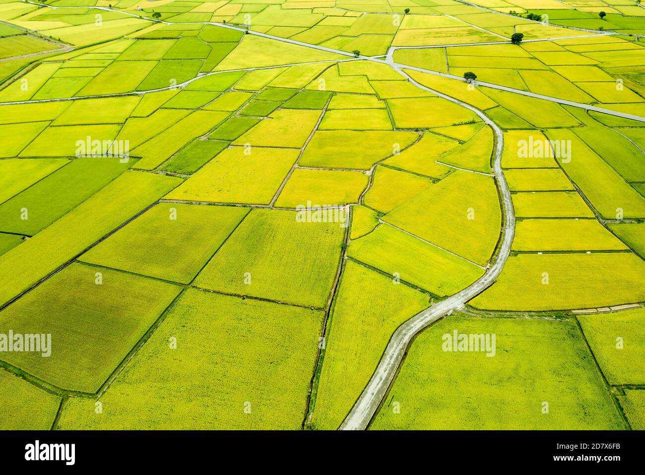 Aerial view of Beautiful Rice Fields at Chishang Township, Taitung ...