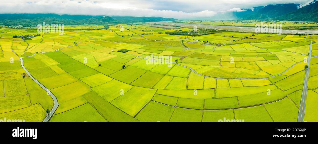 Aerial view of Beautiful Rice Fields at Chishang Township, Taitung ...