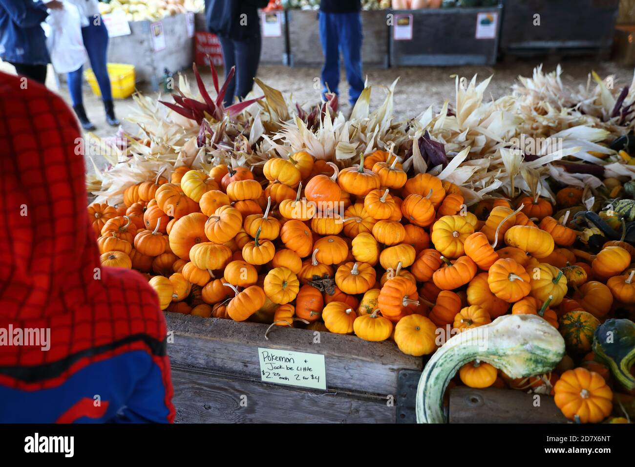 Halloween harvest festival california hi-res stock photography and ...