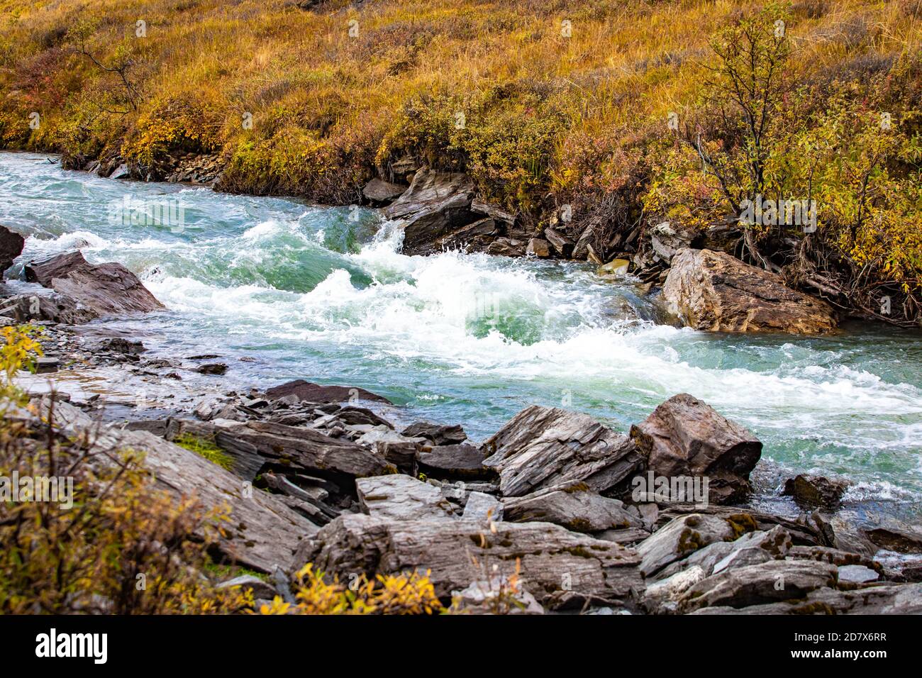 Denali national park Savage river Canyon trail view at fall Stock Photo ...