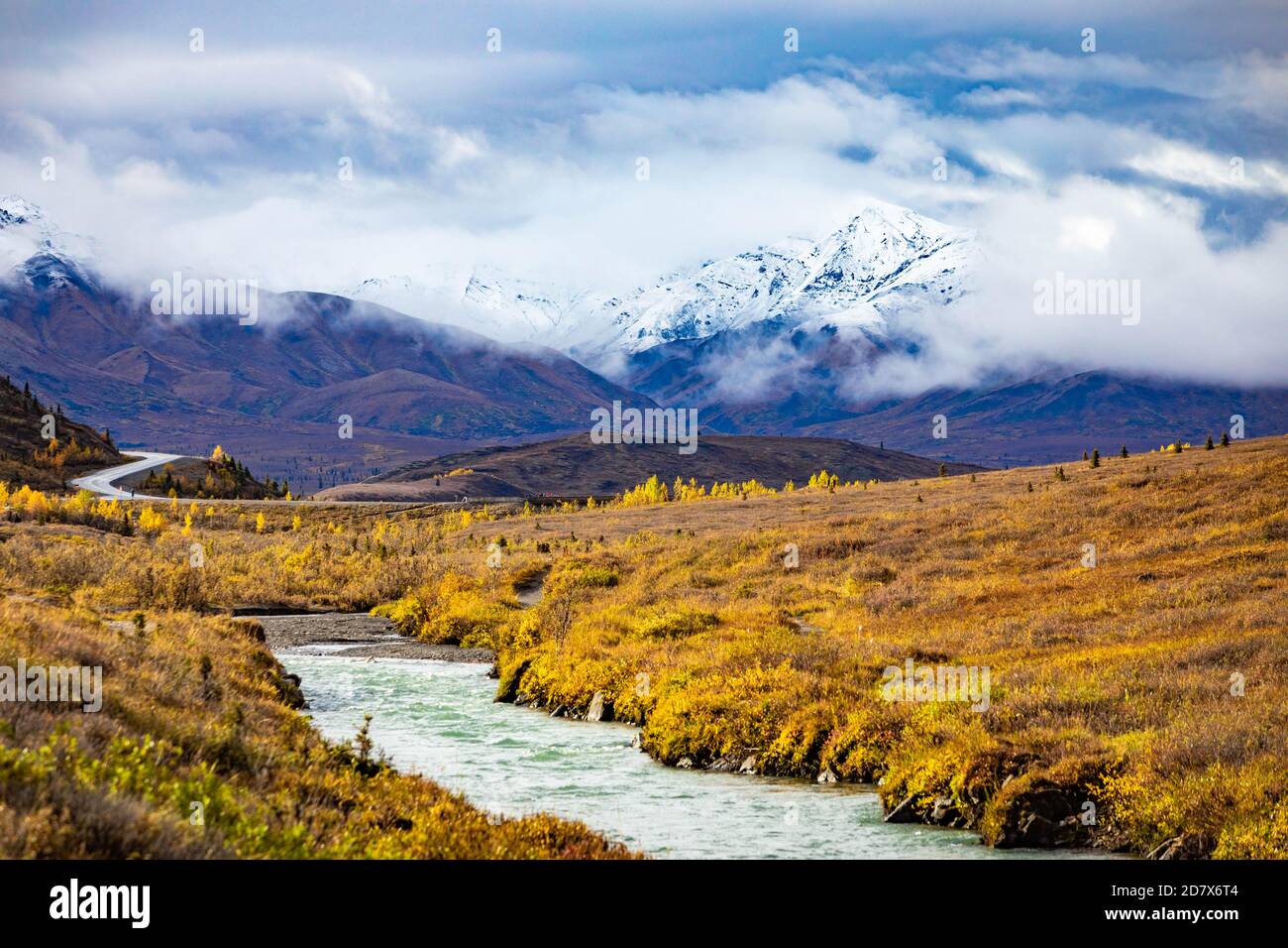 Denali national park Savage river Canyon trail view at fall Stock Photo ...