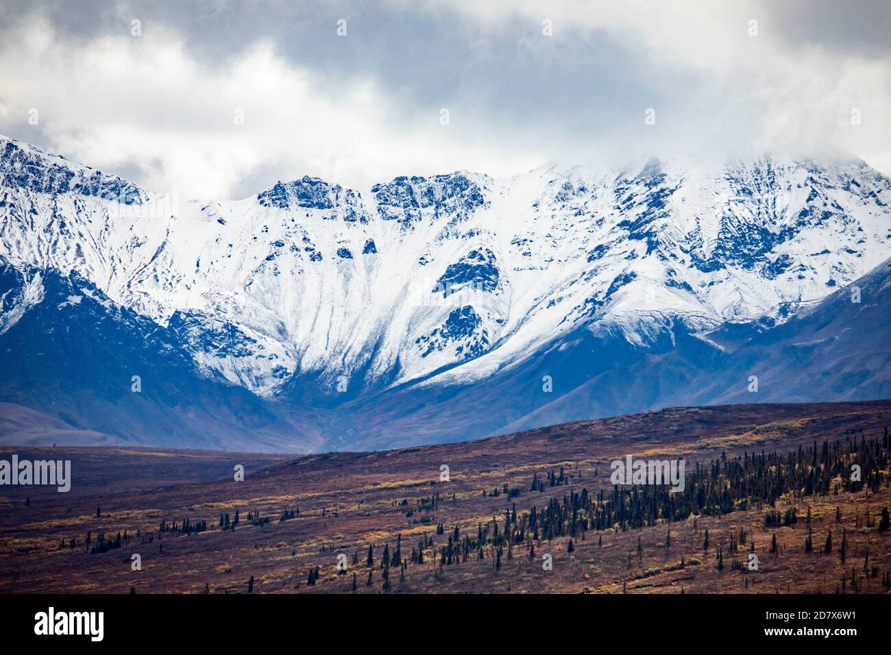 Denali National Park close up mountains view from Alpine trail at fall ...