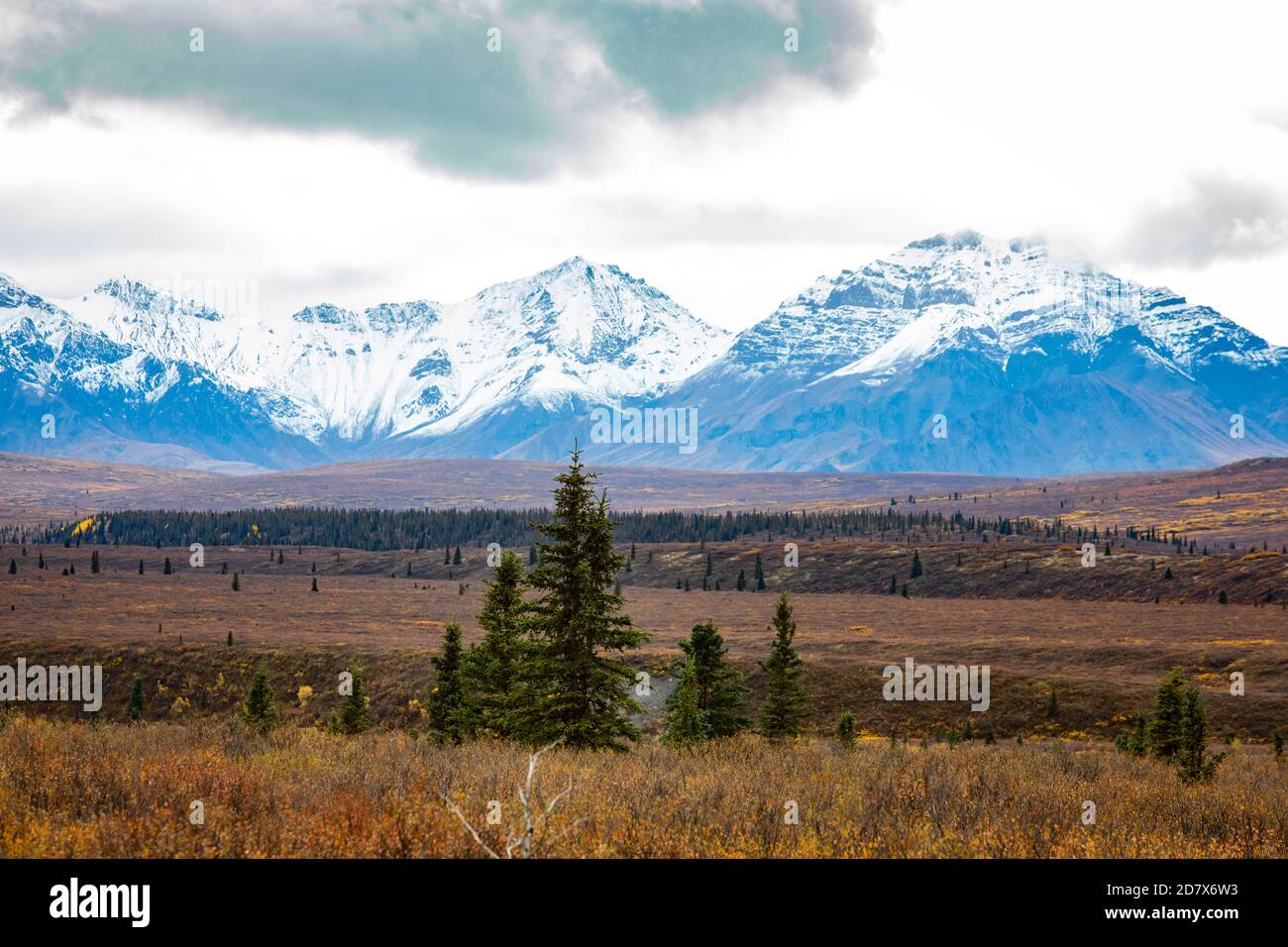 Denali National Park panoramic mountains view from Alpine trail at fall ...