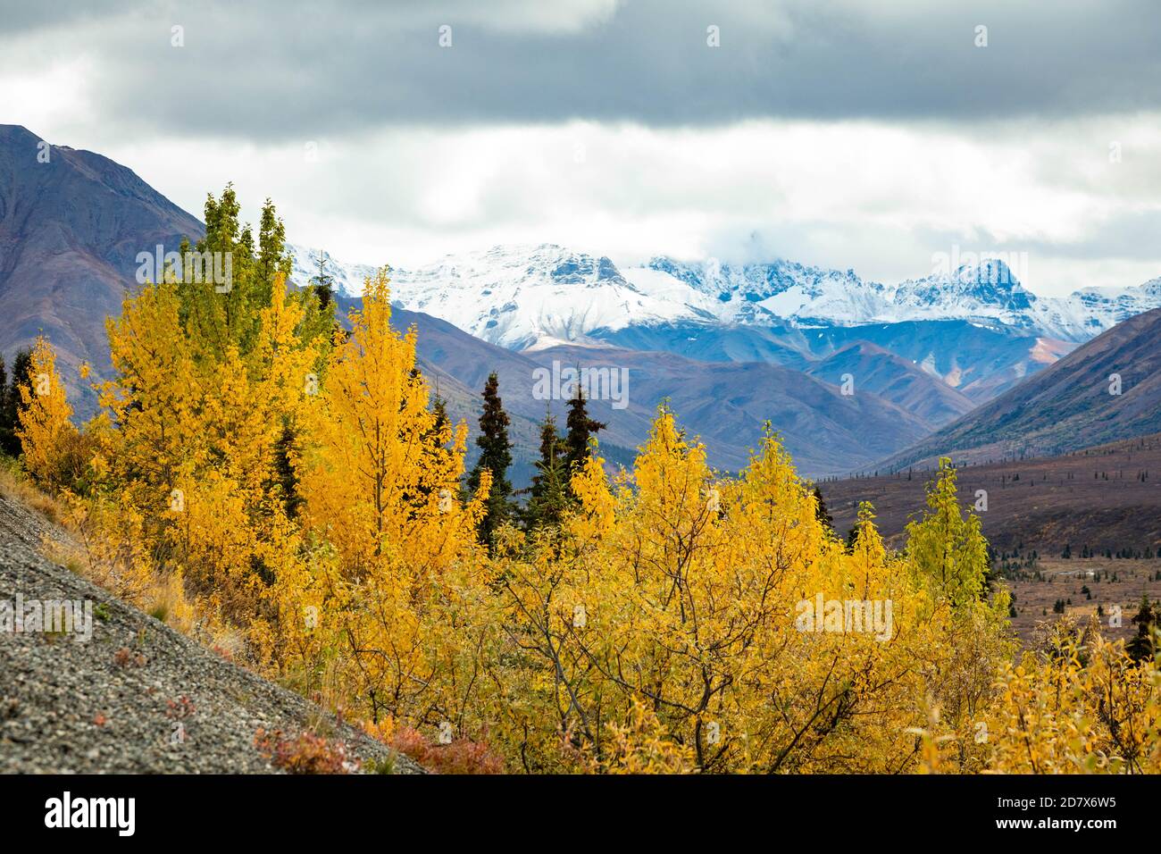 Denali National Park panoramic mountains view from Alpine trail at fall ...