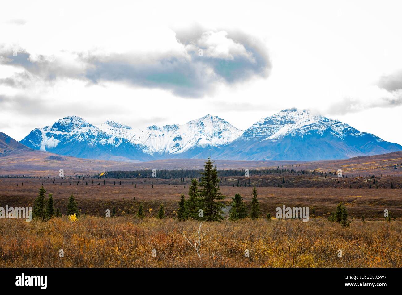 Denali National Park panoramic mountains view from Alpine trail at fall ...